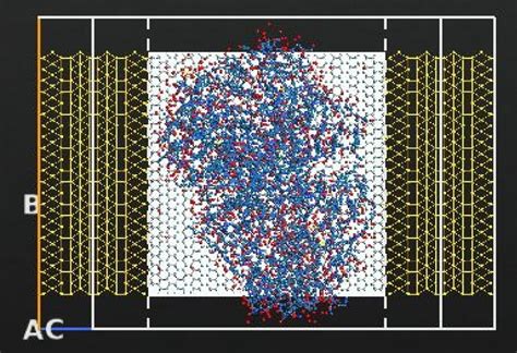 Top View Of The Designed Biosensor With Sars Cov 2 Human Neutralizing Download Scientific
