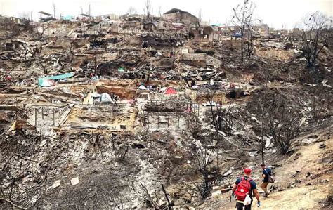 Chile Alista Condiciones Para Combatir Incendios Forestales Foto