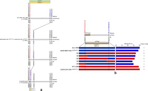 A Map Based Cloning Of A Major Caqdtf11caqfn11 Qtl By Fine Mapping Download Scientific