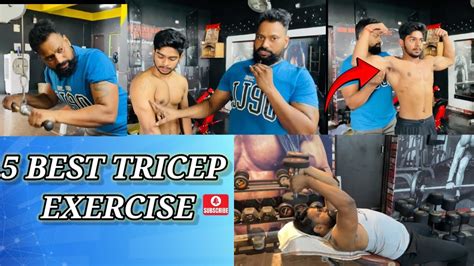 5 Best Tricep Exercises For Beginners Tricep Workout Youtube