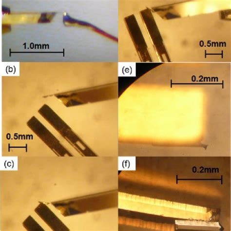 Color Online Fabrication Procedure For Gluing A Si Cantilever To A Download Scientific