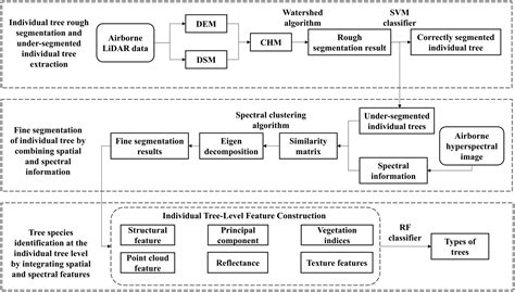 Integration Of Lidar And Hyperspectral Imagery For Tree Species