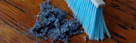 6 Free Wordpress Clean Database Plugins Age Themes