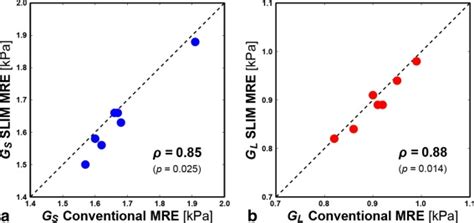 Correlation Of Spatially Averaged Values Of The A Storage Modulus Gs