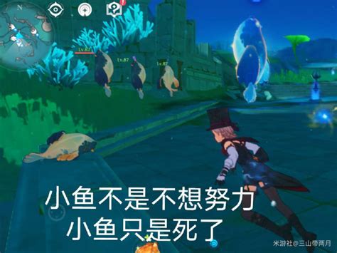 可爱膨膨兽表情包纪录片 原神社区 米游社