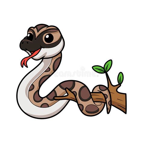 Python Molurus Stock Illustrations 42 Python Molurus Stock Illustrations Vectors Clipart