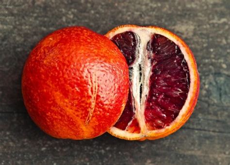 16 Jenis Jenis Jeruk Di Seluruh Dunia Mana Yang Populer