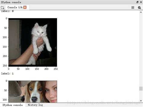 Tensorflow 图像分类任务中读取自己的图片并添加标签 灰信网软件开发博客聚合