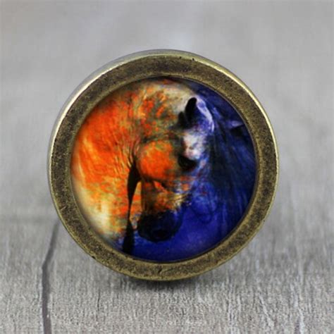 Cast Iron Flower Knobs Rustic Turquoise Drawer Knobs Etsy