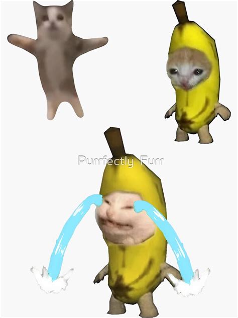 hapi hapi hapi and banana cat bundel sticker for sale by purrfectly