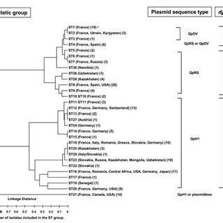 Figure Dendrogram Of The Genetic Relatedness Among The Different Download Scientific