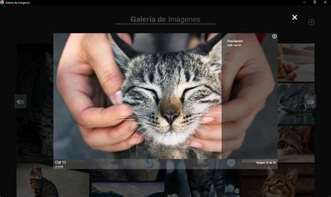 Github Andresv309image Gallery Electronjs The Image Gallery Is A Personal Project Designed
