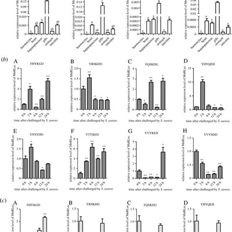 Tissue Distribution And Expression Pattern Analysis Of Eight Types Of