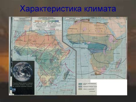 Природные зоны Африки экваториальные леса презентация онлайн