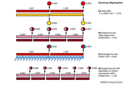 The Many Costs Of Sex Trends In Ecology Evolution
