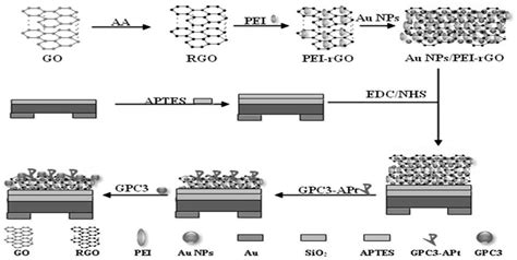 Method For Detecting Gpc3 Based On Light Addressing Potential Sensor Eureka Patsnap
