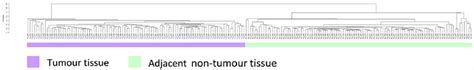unsupervised hierarchical clustering of k2 samples unsupervised