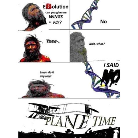 The Best Evolution Memes Memedroid