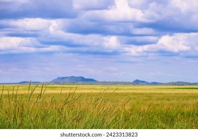 Hundred Intercropping Mixed Cropping Royalty Free Images Stock Photos Pictures Shutterstock