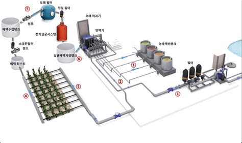 한국형 친환경 순환식 수경재배시스템 개발