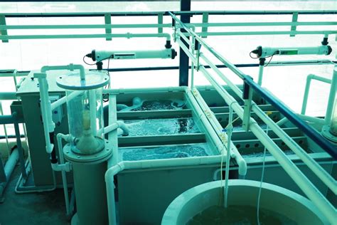 Recirculating Aquaculture System At Best Price In Tiruvarur By Aqua