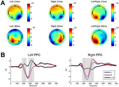 scalp maps and temporal waveforms of erp signals a grand average