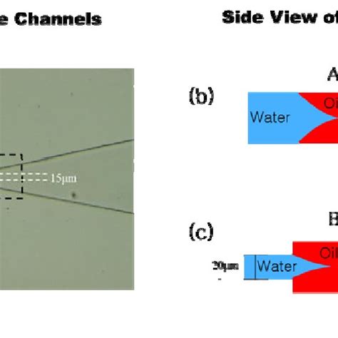 Fig S2 A Top And B C Side Views For The Two Different Download Scientific Diagram