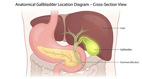 Phq 9 Depression Screening Test — Free 2 Minute Online