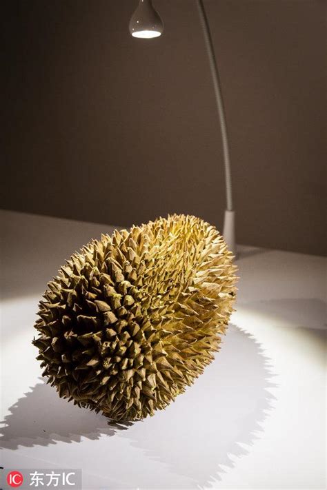 瑞典最恶心食物博物馆将开业 皮蛋榴莲炸豚鼠入选 新加坡新闻