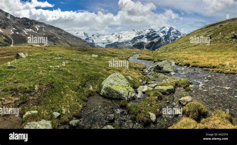 Glacier Forni And Alpine River Valfurva Lombardy Italy Europe Stock