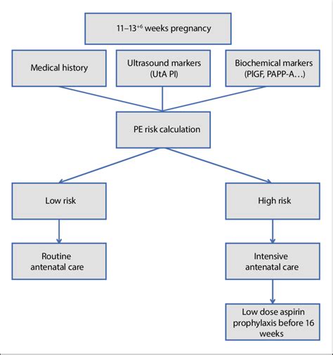 First Trimester Prediction Of Preeclampsia Algorithm Download
