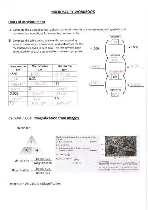 Microscopy Workbook Bio101 Units Of Measurement And Magnification