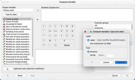 Spss Tutorial 2 Data Manipulation In Spss Resourceful Scholars Hub
