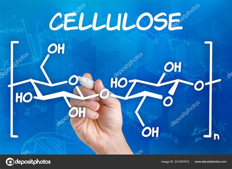 Hand Draws Chemical Structural Formula Cellulose Stock Photo PantherMediaSeller 341557912