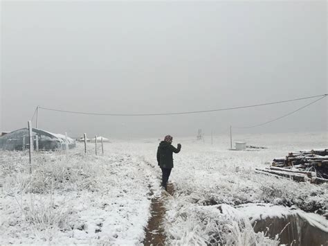 9월이 채 다 지나지 않았지만 이곳 몽골에는 겨울의 시작을 Ногоон Ази сүлжээ ТББ