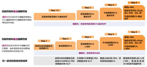 符州教授：哮喘患儿与青少年的管理路径——起始治疗和长期管理腾讯新闻