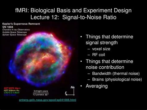 PPT FMRI Biological Basis And Experiment Design Lecture Signal To Noise Ratio PowerPoint