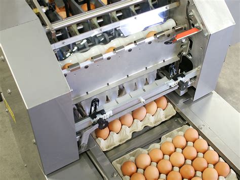 Farmpacker 40 Compact Egg Packer Machine For Small Farms Sanovo