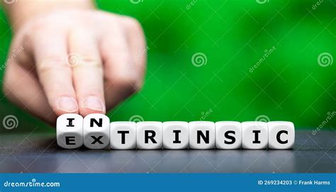 Intrinsic Extrinsic Traffic Sign On Blue Sky Royalty Free Stock Photo CartoonDealer Com