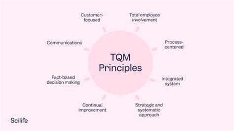 Quality Management Certification Services In Navi Mumbai Id 12490269288