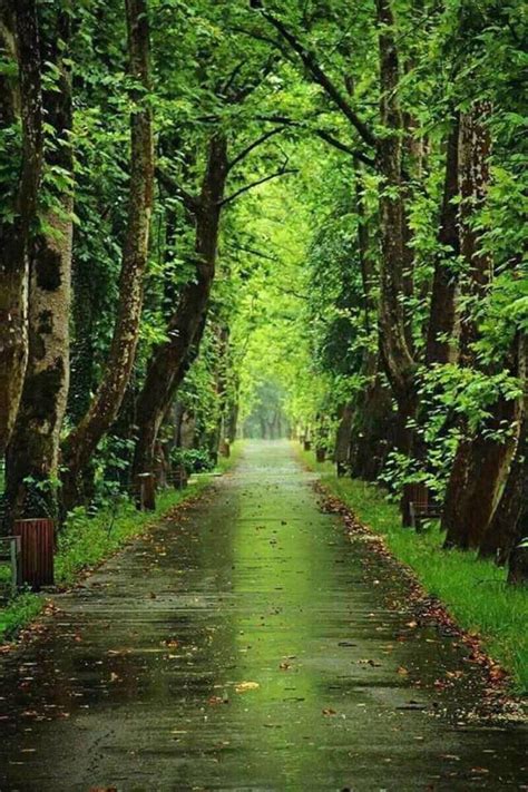 ქარგვა And ქსოვა ქარგვა And ქსოვა Added A New Photo