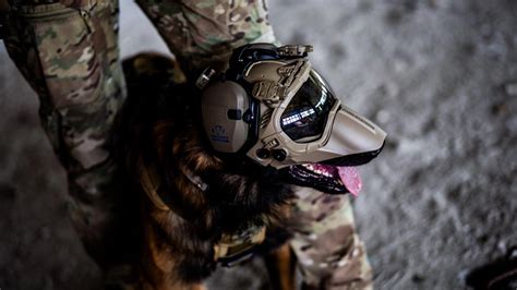 Photos New Helmet To Shield Military Dogs In The Line Of Duty