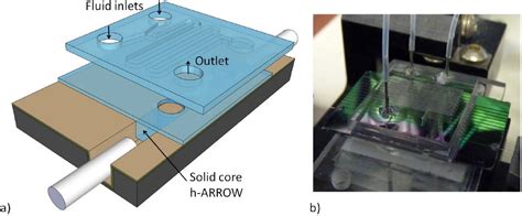 Antiresonant Reflecting Optical Waveguides For Biosensing Applications