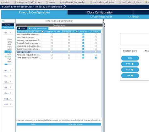 Unexpected Interrupt When Running The Example Flas