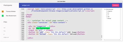Screenshot Of The Live Code Editor Widget Download Scientific Diagram