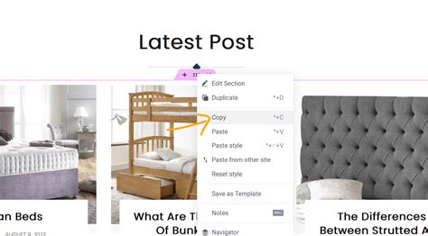 Elementor How To Copy A Post Element Section From One Website To
