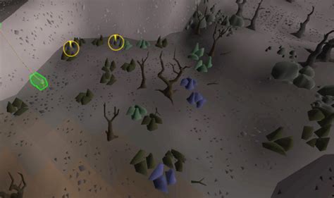 How Do You Get To Fossil Island In Osrs Fandomspot