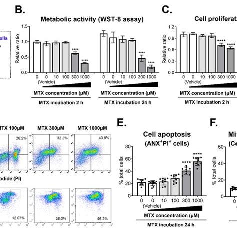 Toxic Effects Of Methotrexate On Human Corneal Epithelial Cells A Download Scientific