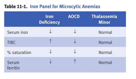 Iron Panel For Microcytic Anemia Motahare Heibatollahi
