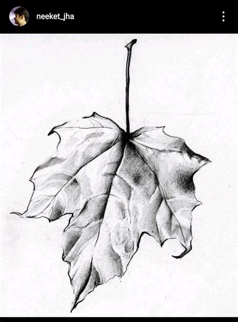 Niket Jha Posted On Linkedin